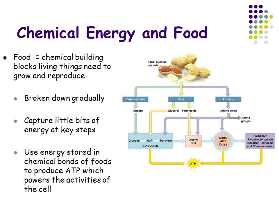 Chemical Energy Food